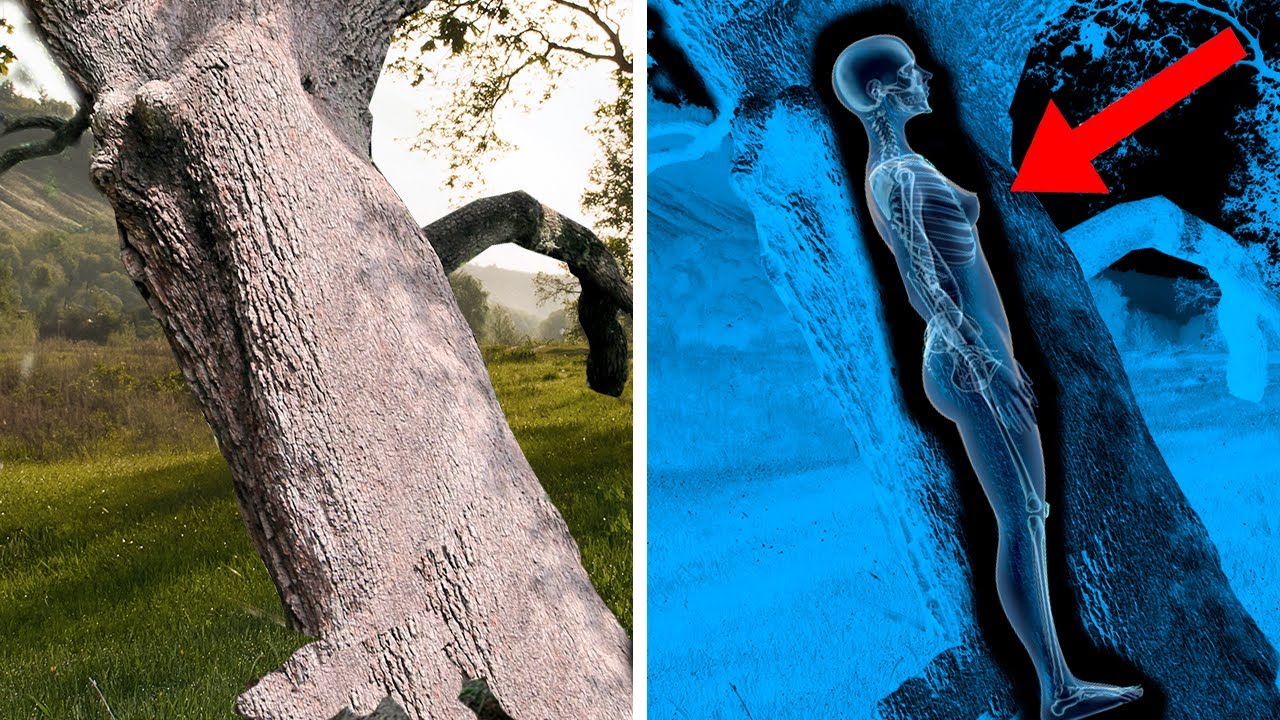 9 Most UNEXPLAINED Recent Archaeological Discoveries! - Ancient History ... 9 Most UNEXPLAINED Recent Archaeological Discoveries! - Ancient History ...