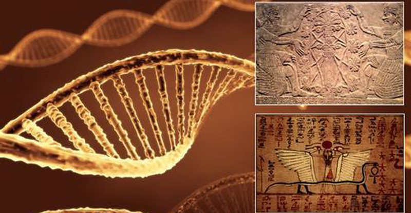 Have scientists finally decoded the ancient knowledge of how to change ...