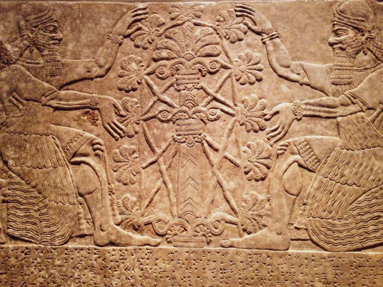 Have scientists finally decoded the ancient knowledge of how to change ...