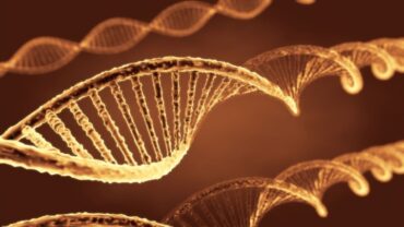 Have scientists finally decoded the ancient knowledge of how to change ...