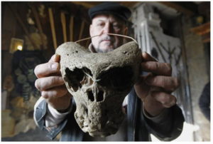 Two "Alien" Skulls Discovered In Russia, A Secret Nazi Institution And ...