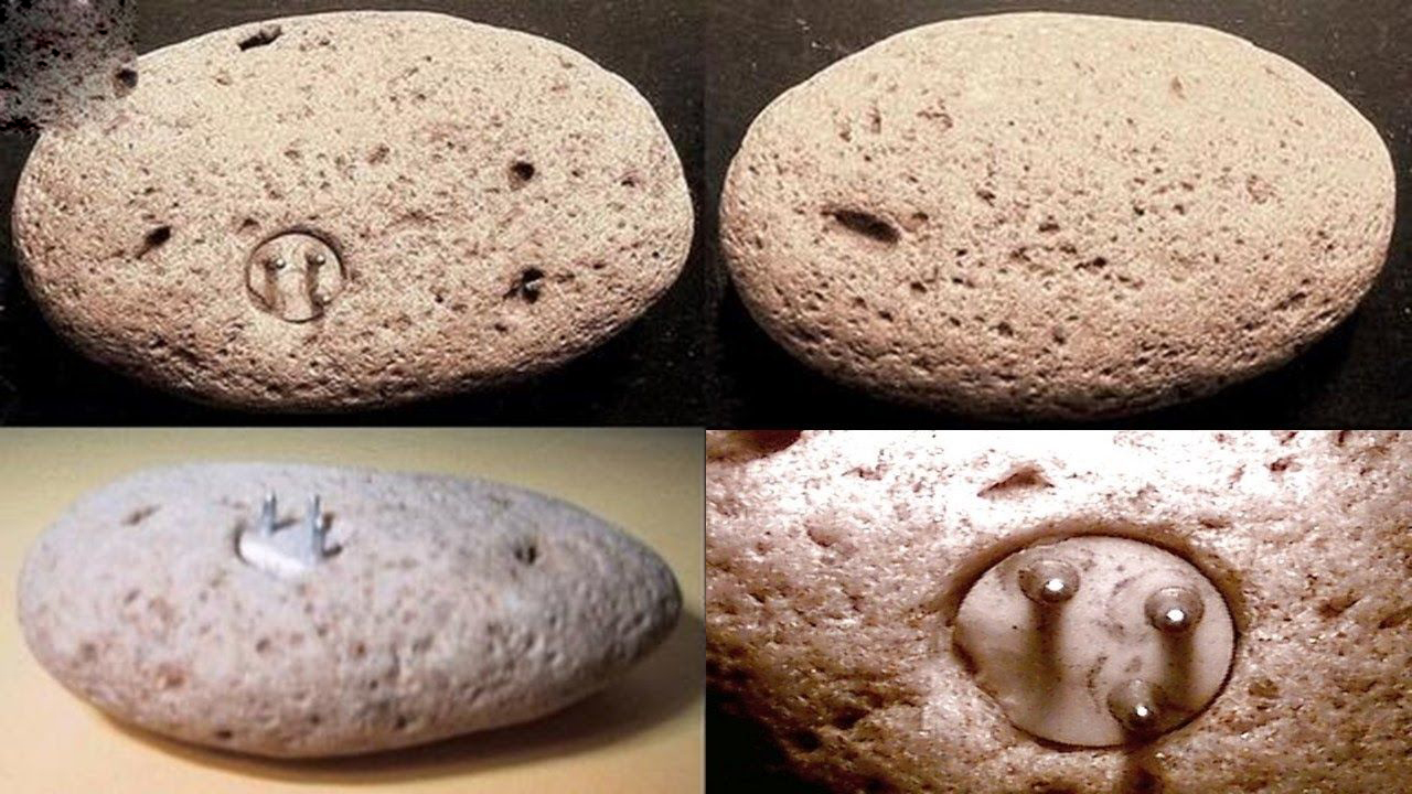 A 100,000 Year Old Electrical Connector Found Embedded In Stone ...