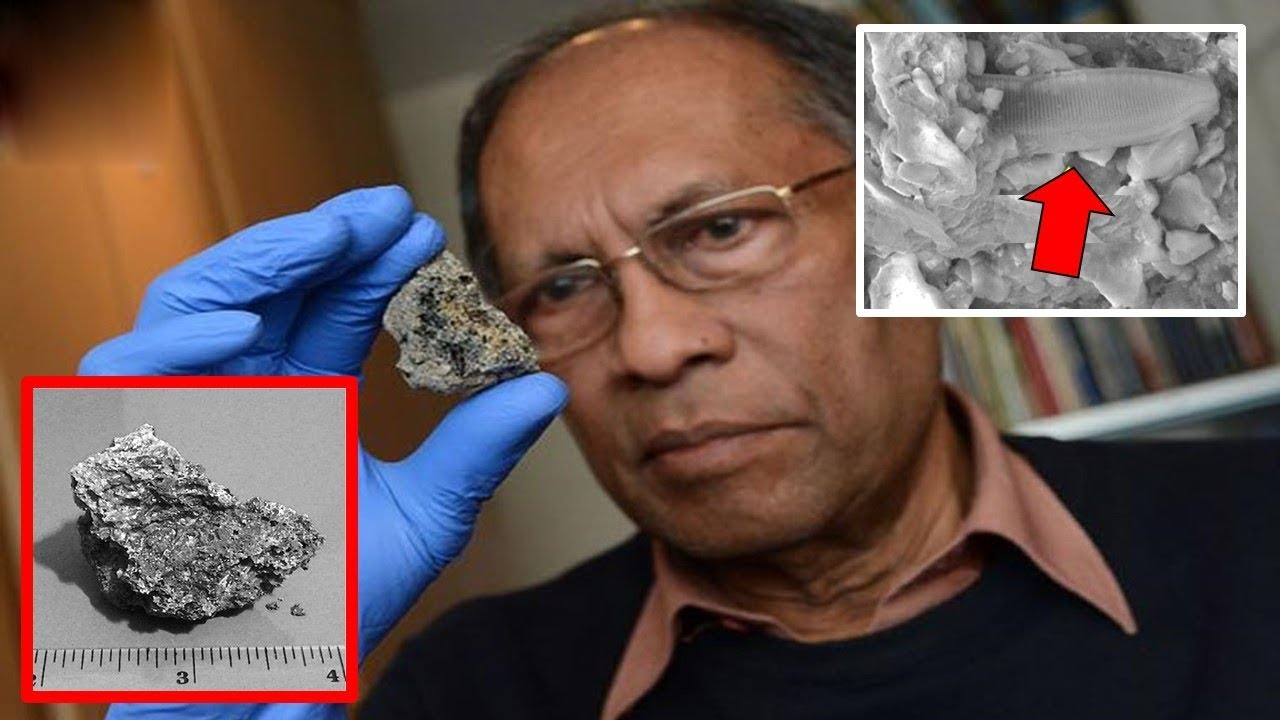 "Alien Life-Form" Discovered Within Sri Lankan Meteorite? - Ancient ...