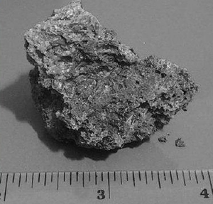 "Alien Life-Form" Discovered Within Sri Lankan Meteorite? - Ancient ...