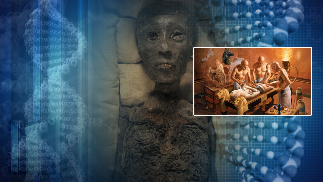 Ancient Aliens Taught Egyptians Mummification To Store Corpse DNA For ...