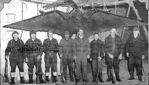 The Legendary Ancient Thunderbird Was Real And It May Actually Exist ...