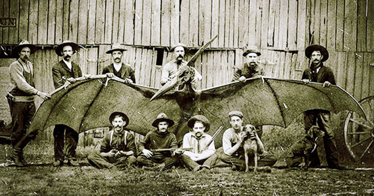 The Legendary Ancient Thunderbird Was Real And It May Actually Exist ...