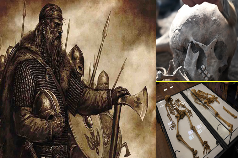 Ancient DNA reveals the truth about Vikings - Ancient History and ...